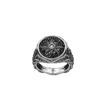 Project COMTE – Project Comte