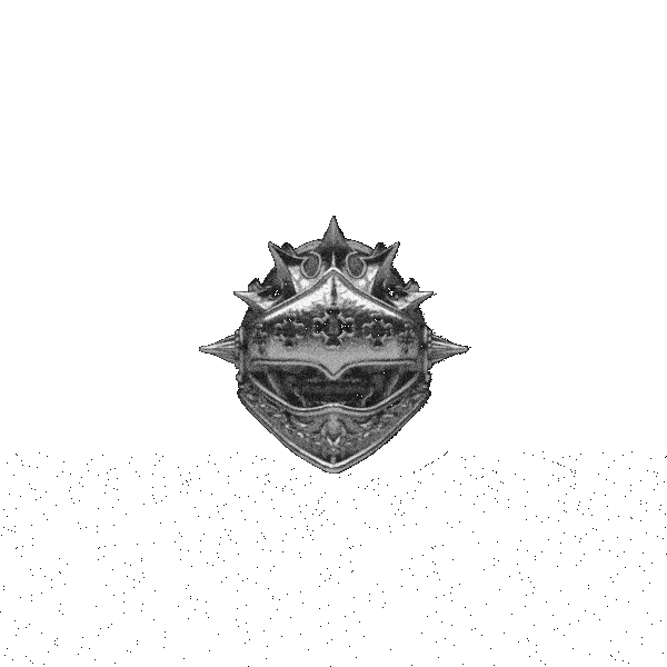 Knights Ring – Project Comte