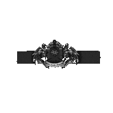 Project COMTE – Project Comte