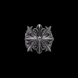 Cyan1d3 ring – Project Comte