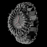 Project COMTE – Project Comte