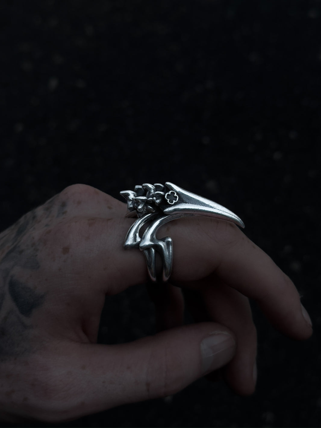 Project COMTE – Project Comte