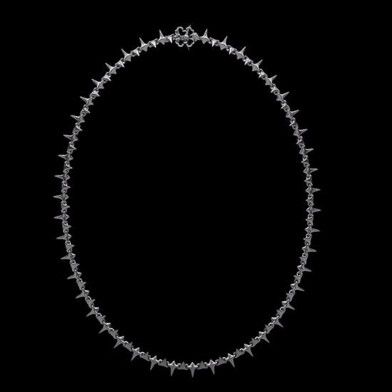 Freeway chain – Project Comte