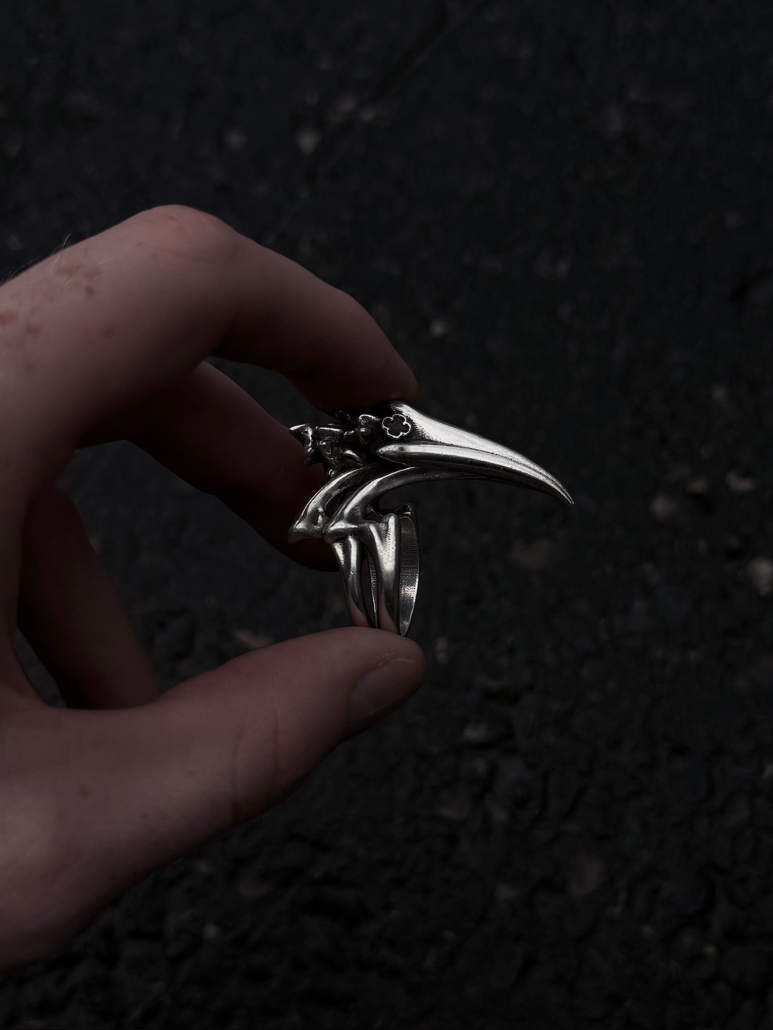 Plague Ring – Project Comte