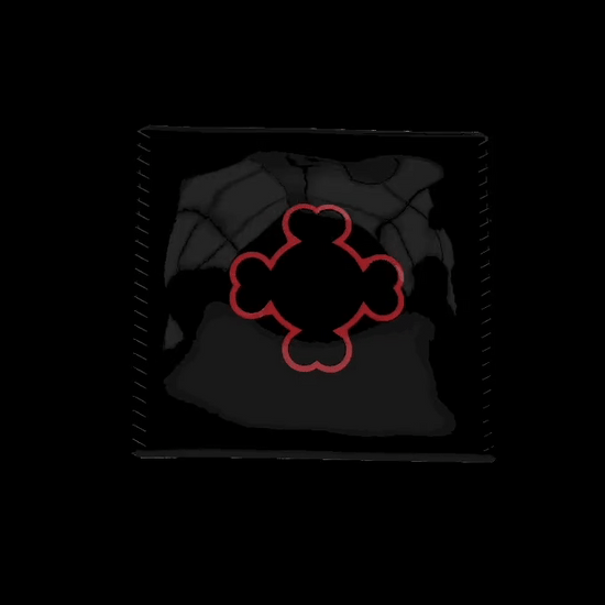 CNDM RING - LIMITED EDITION – Project Comte