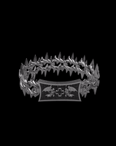 Home page – Project Comte