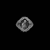 Project COMTE – Project Comte