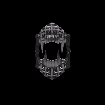 Home page – Project Comte