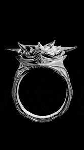 Products – Project Comte